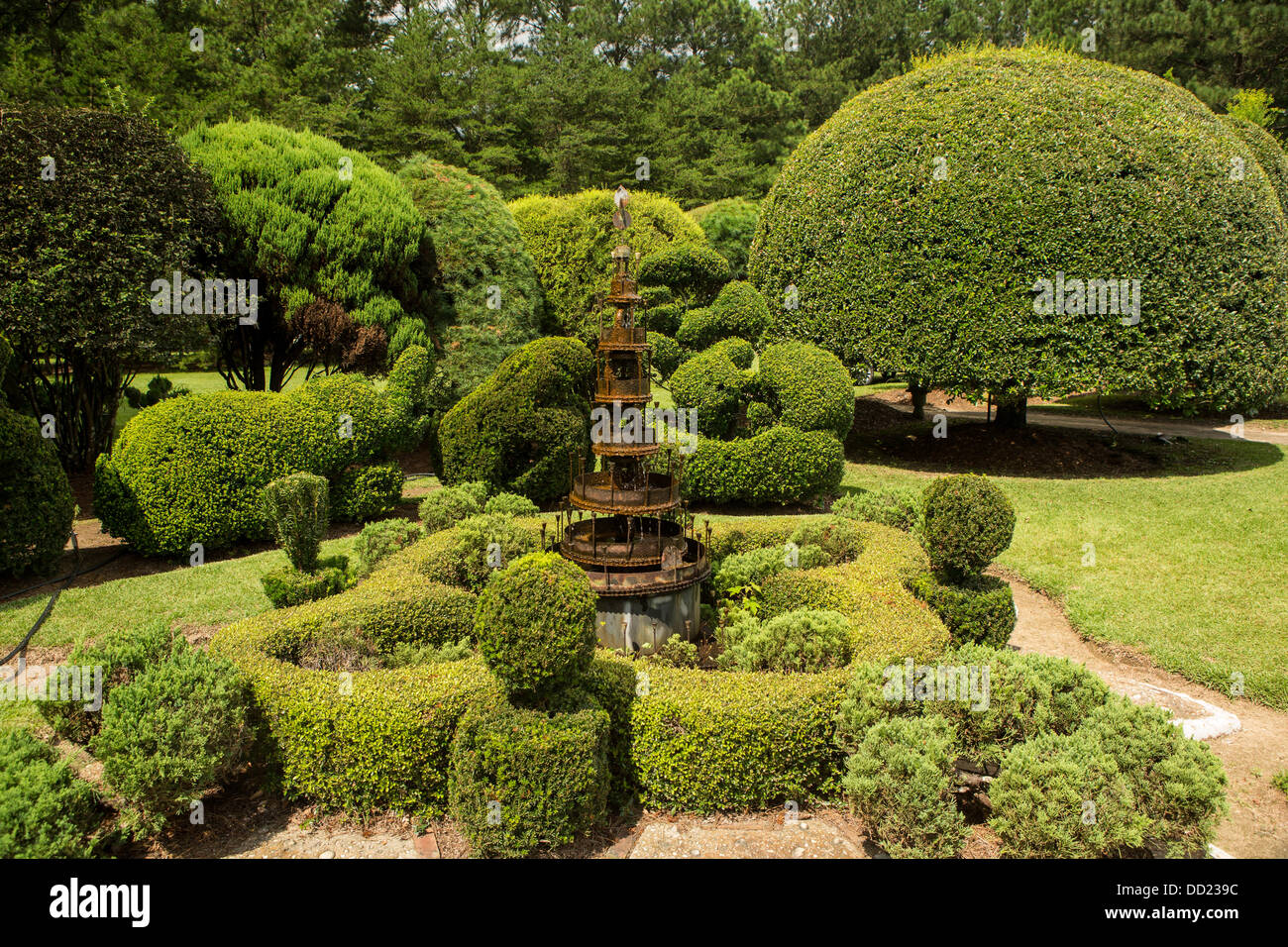Pearl Fryar without any horticultural experience turned discarded ...