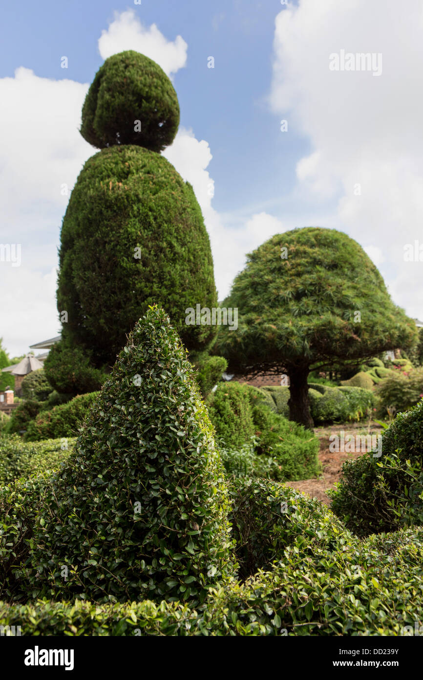 Pearl Fryar Topiary Garden High Resolution Stock Photography and Images ...