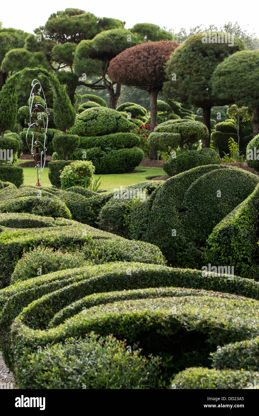 Pearl Fryar without any horticultural experience turned discarded ...