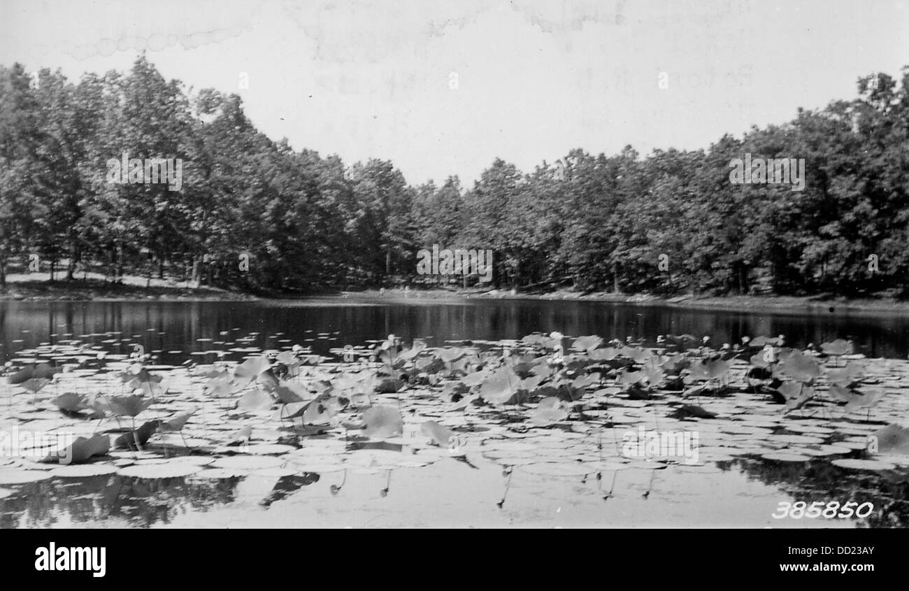 Little Scotia Pond is a small water body located in a natural setting ...
