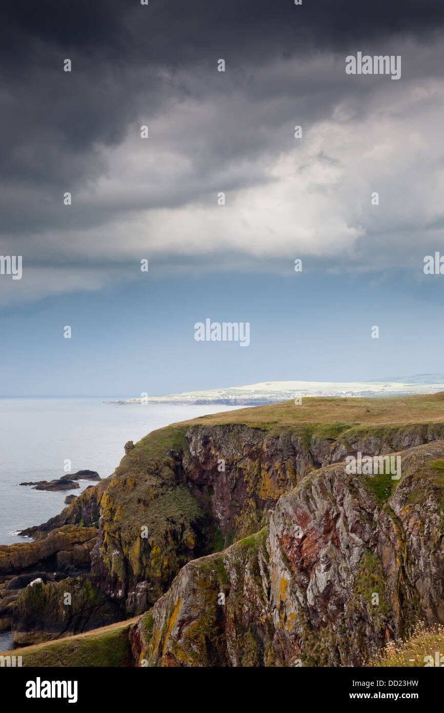 Rock Ledge Along The Coast; St. Abb's Head, Scottish Borders, Scotland ...