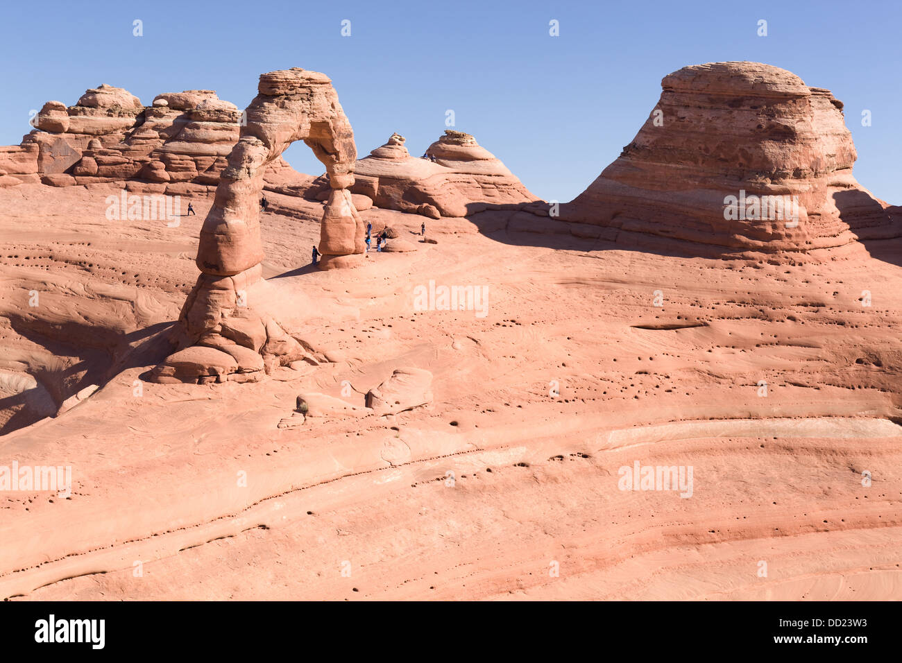 Delicate e hi-res stock photography and images - Alamy