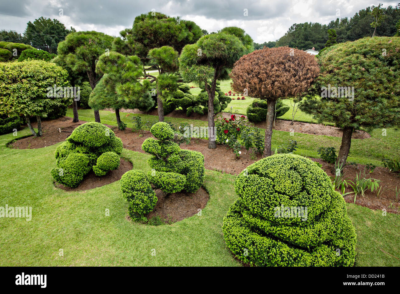Pearl Fryar Topiary Garden High Resolution Stock Photography and Images ...