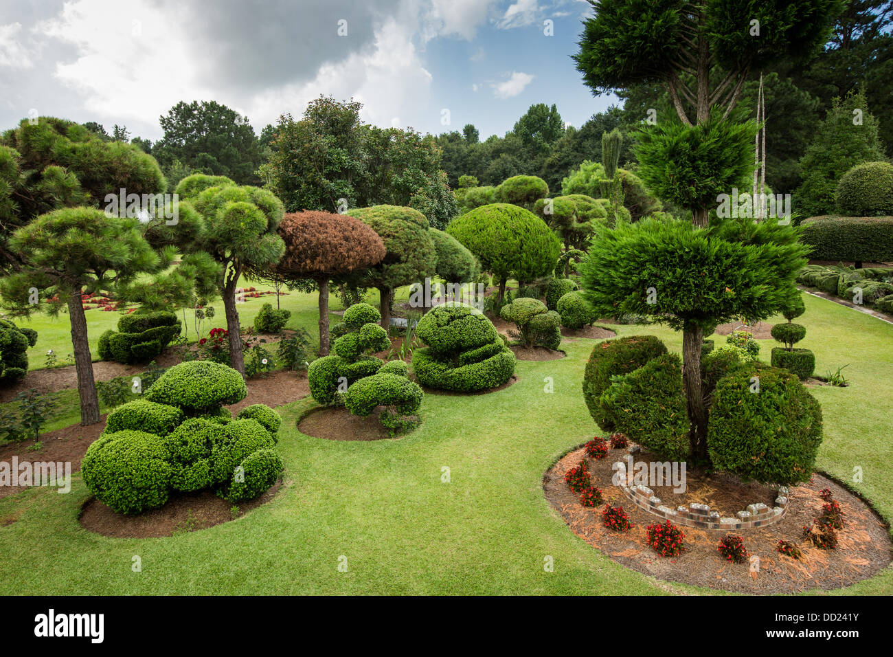 Pearl Fryar without any horticultural experience turned discarded ...