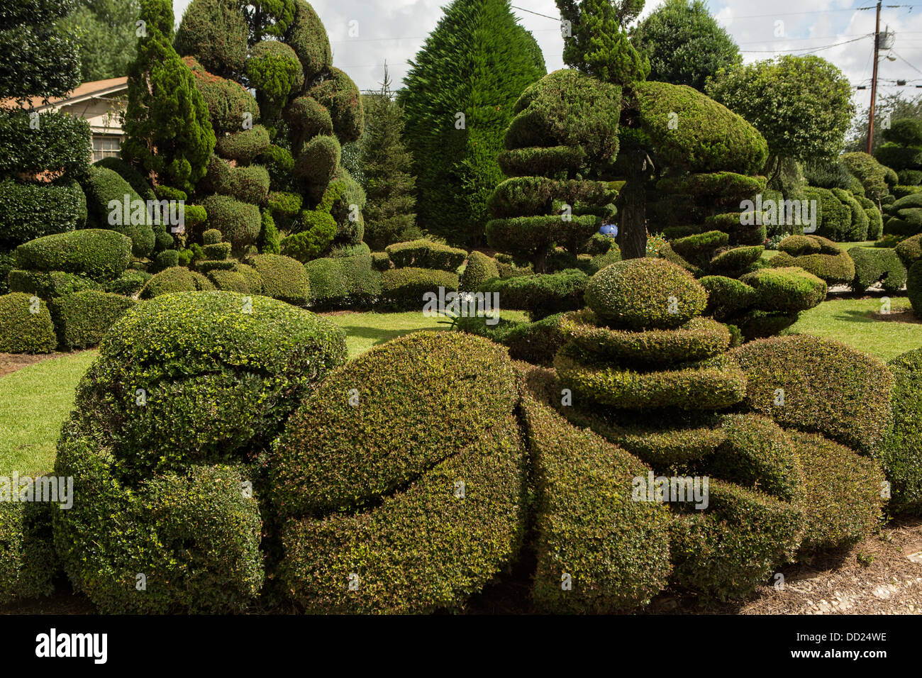 Pearl Fryar Topiary Garden High Resolution Stock Photography and Images ...