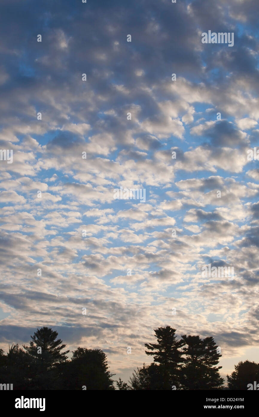 Waterloo quebec hi-res stock photography and images - Alamy