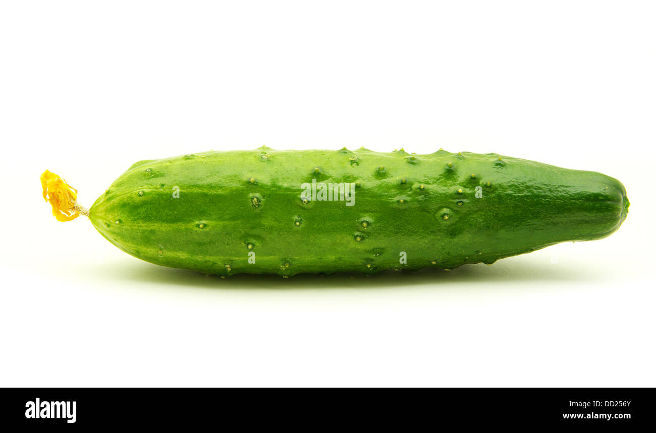 Cucumber image Cut Out Stock Images & Pictures - Alamy