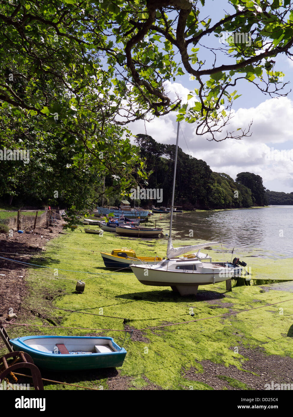 Boats moored at Sunny Corner Malpas Truro Cornwall UK Stock Photo - Alamy