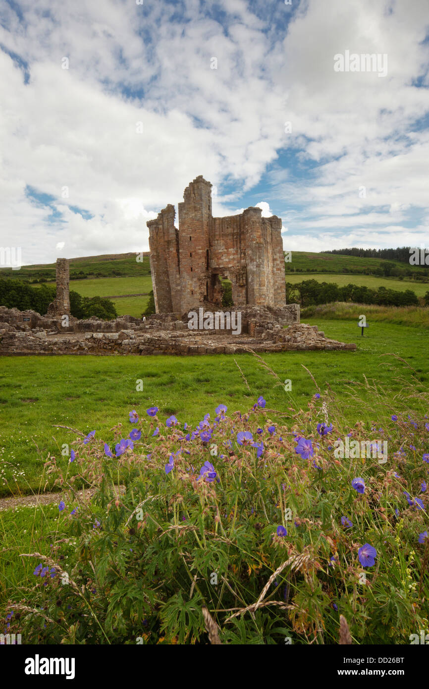 Edlingham castle hi-res stock photography and images - Alamy