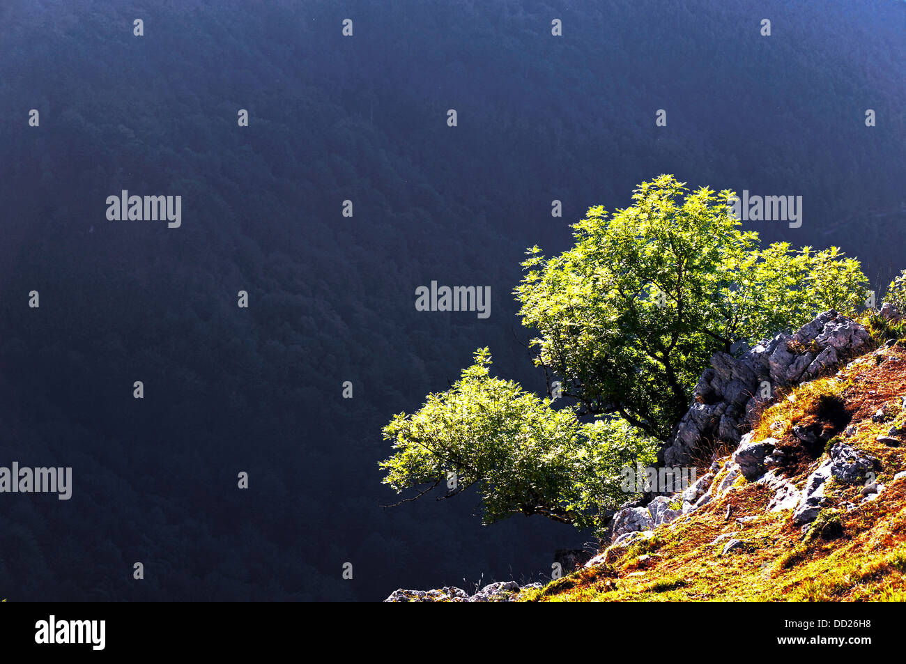 Cliff with vegetation hi-res stock photography and images - Alamy