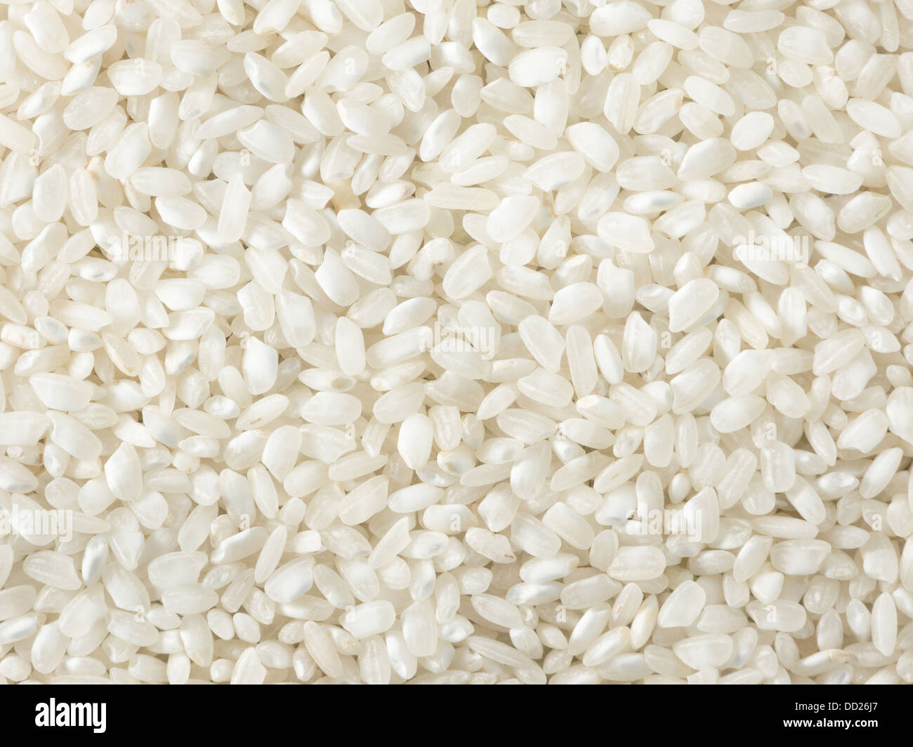 background with closeup of rice grains Stock Photo - Alamy