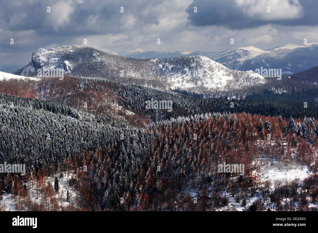 Winter frosty landscape hi-res stock photography and images - Alamy
