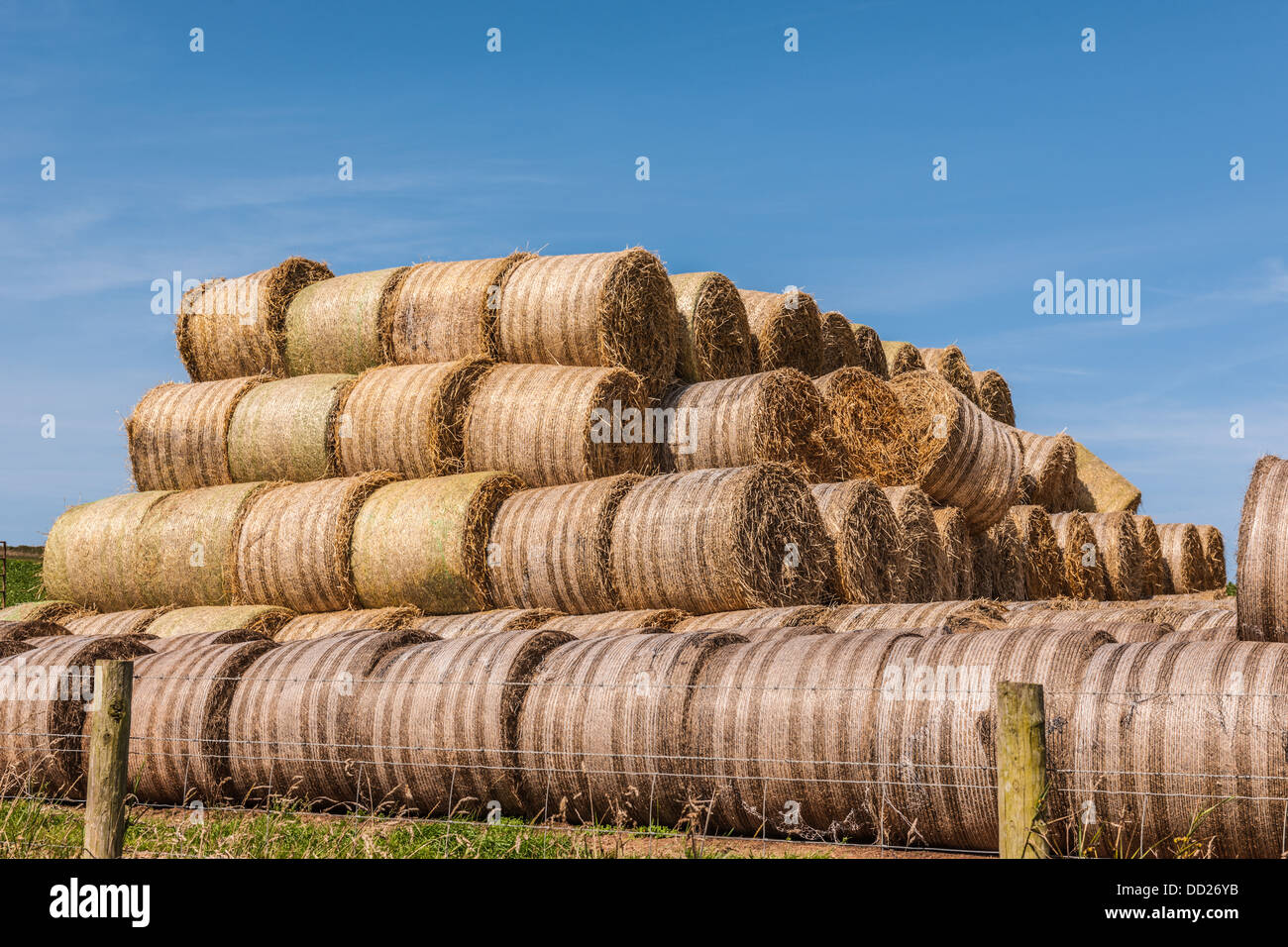 Large straw bales hi-res stock photography and images - Alamy