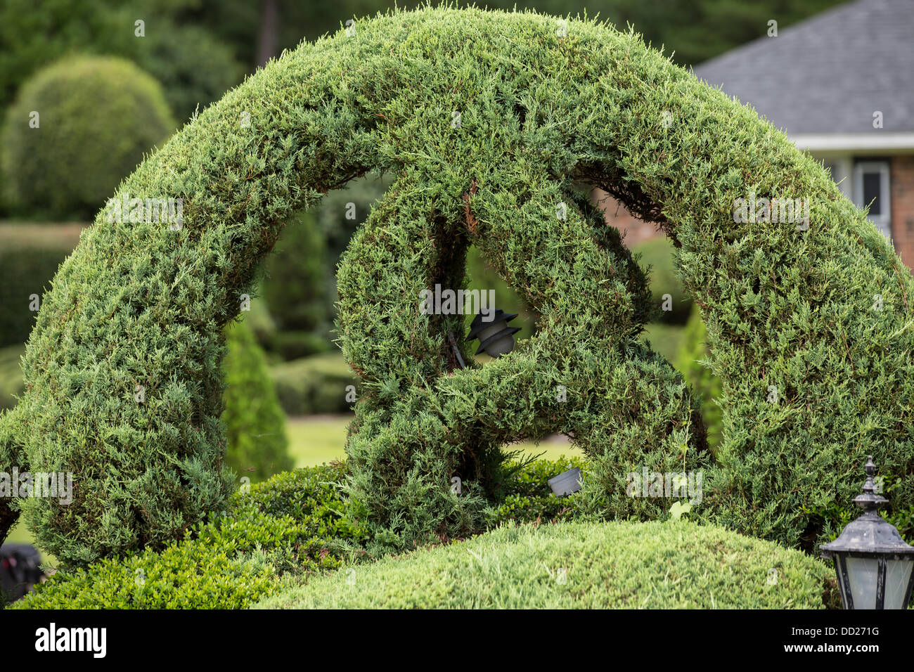 Pearl fryar topiary garden hi-res stock photography and images - Alamy