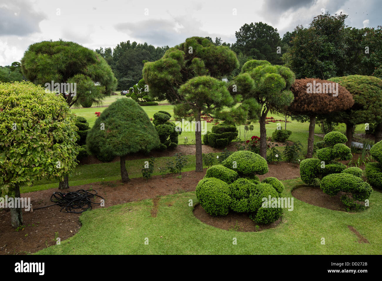 Pearl fryar topiary hi-res stock photography and images - Alamy