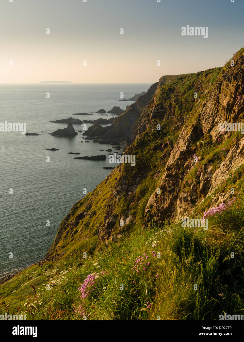 Evening landscape of the Atlantic coast from the cliff top at Hartland ...