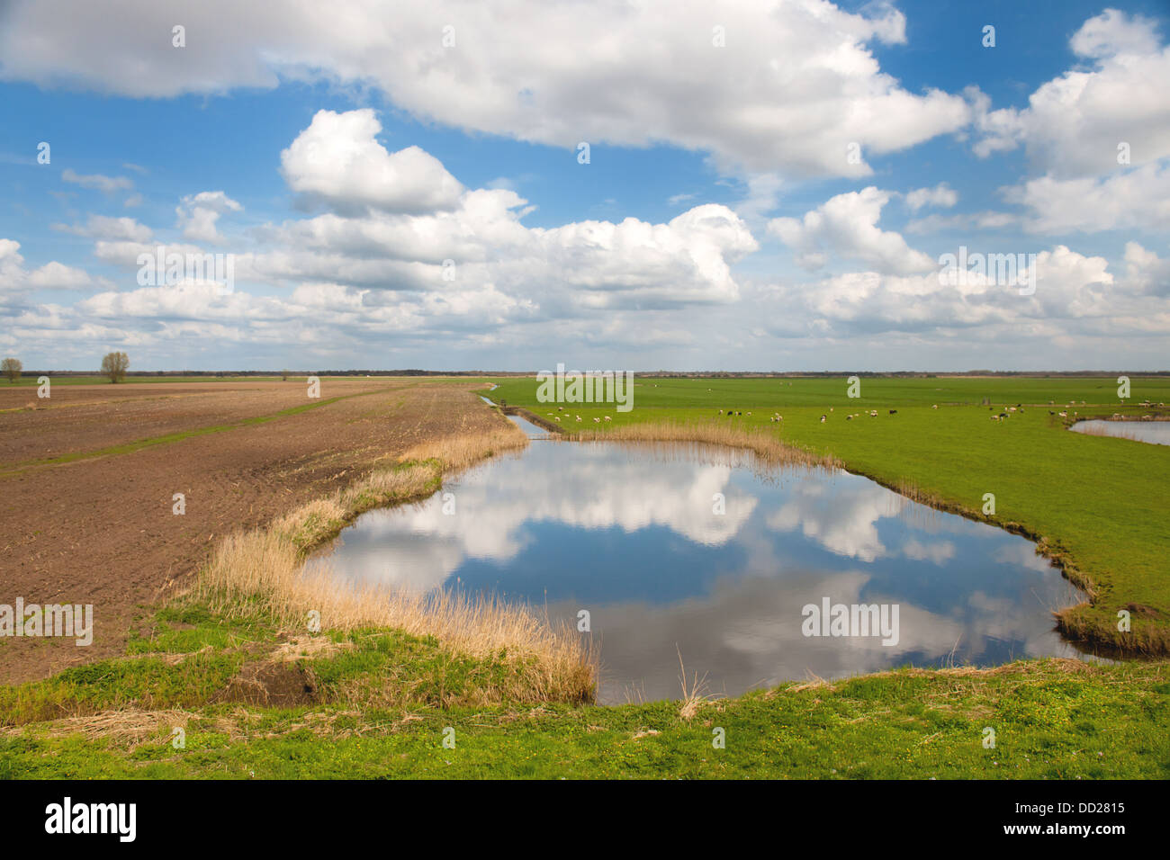 The dutch landscape hi-res stock photography and images - Alamy