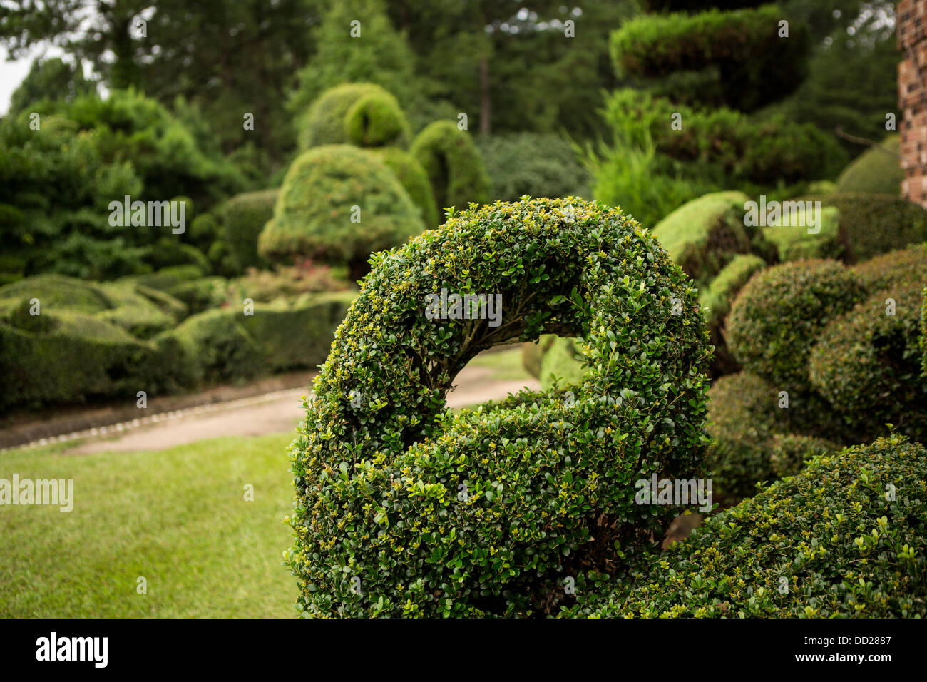 Pearl fryar topiary garden hi-res stock photography and images - Alamy