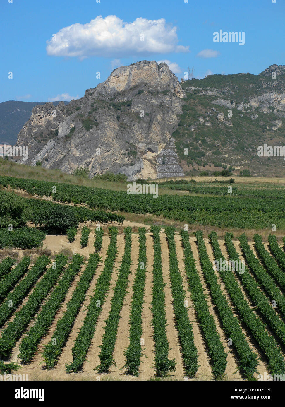 Rioja wine hi-res stock photography and images - Alamy