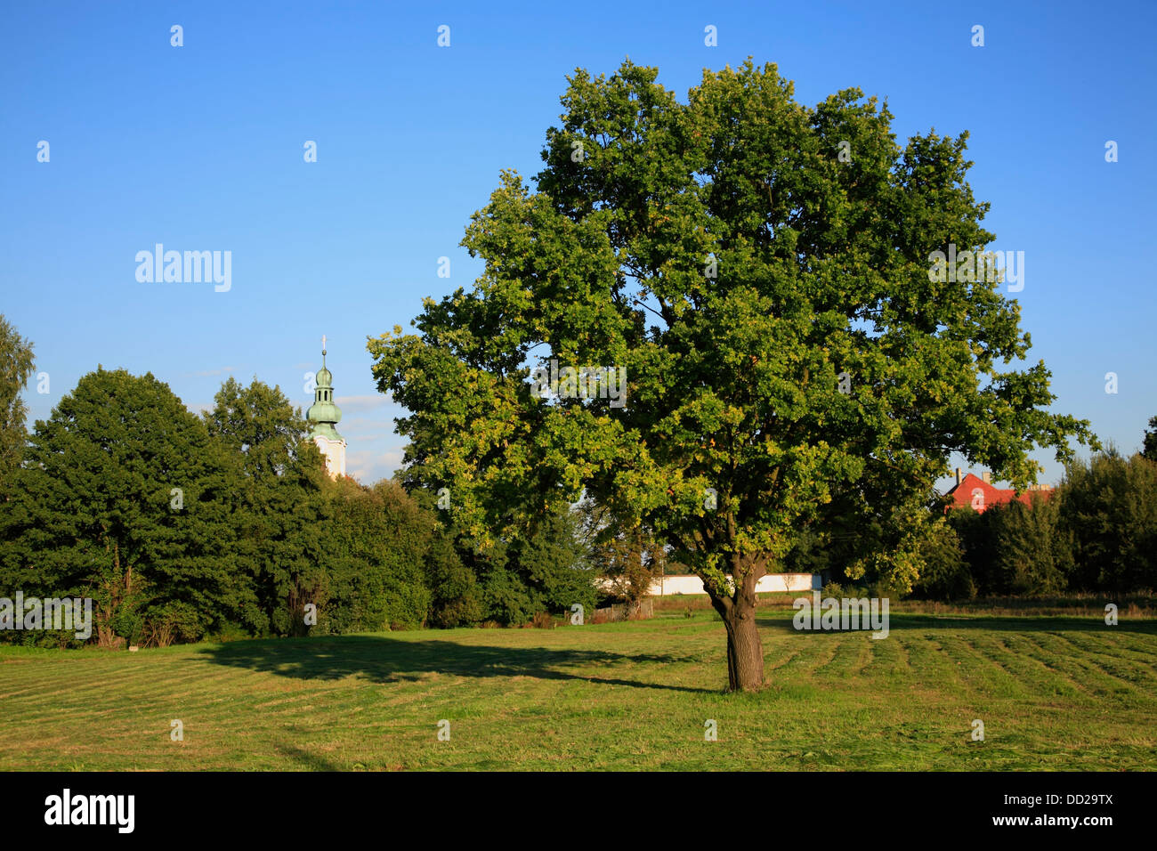 Silesia opole hi-res stock photography and images - Alamy