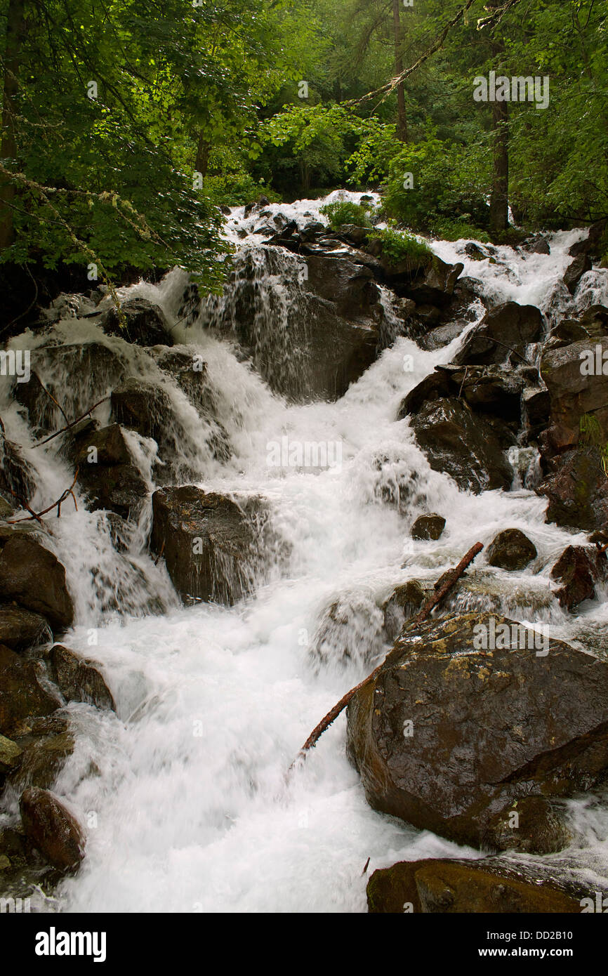 Water spurt hi-res stock photography and images - Alamy