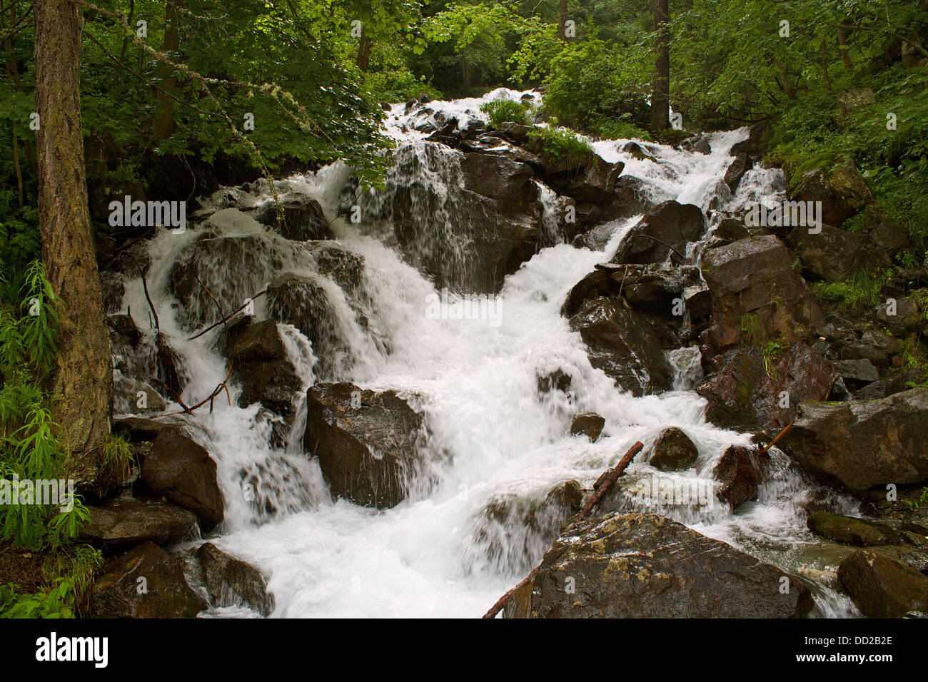 Water spurt hi-res stock photography and images - Alamy