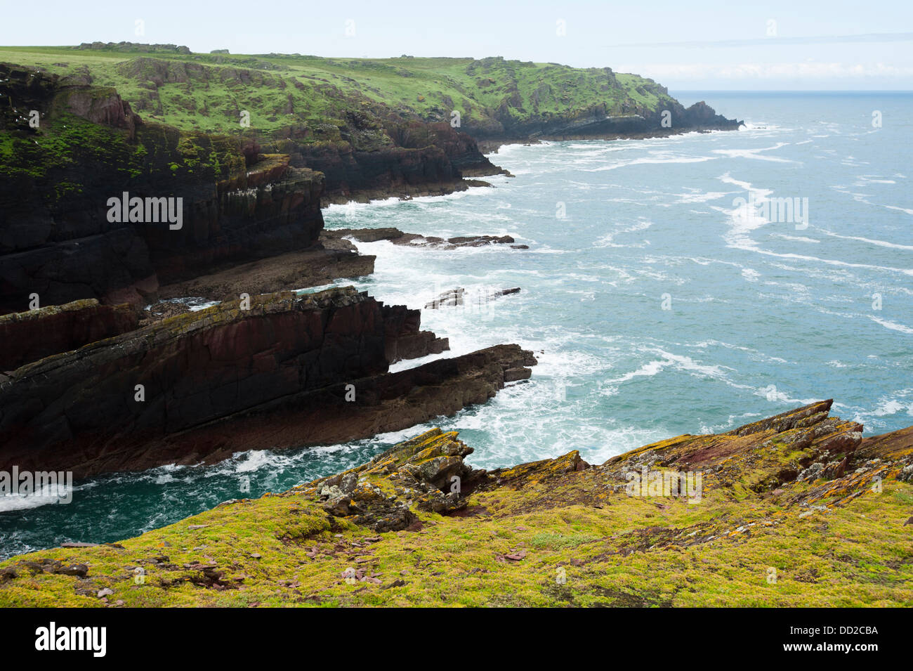 Skokholm island hi-res stock photography and images - Alamy