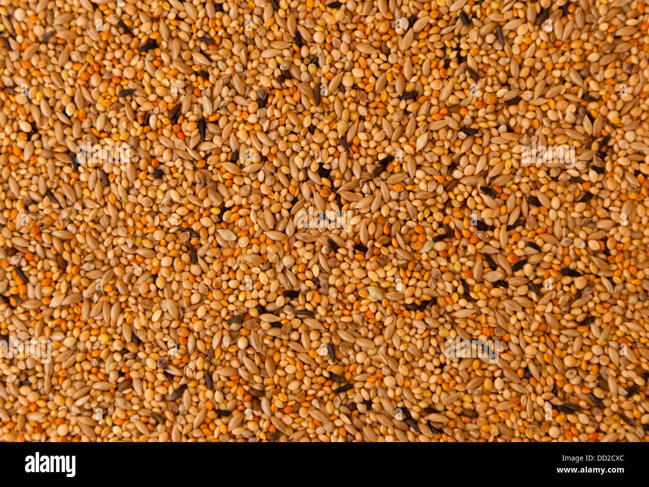 bird seed, mixed granular food for canaries and budgerigar Stock Photo ...