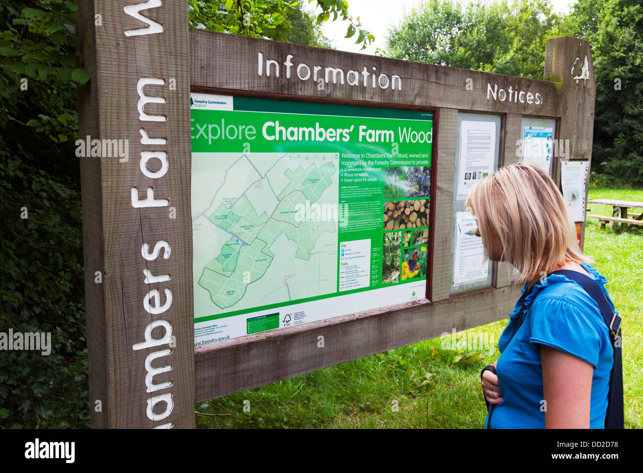 Chambers Farm Wood Lincolnshire UK England lady looking at map ...