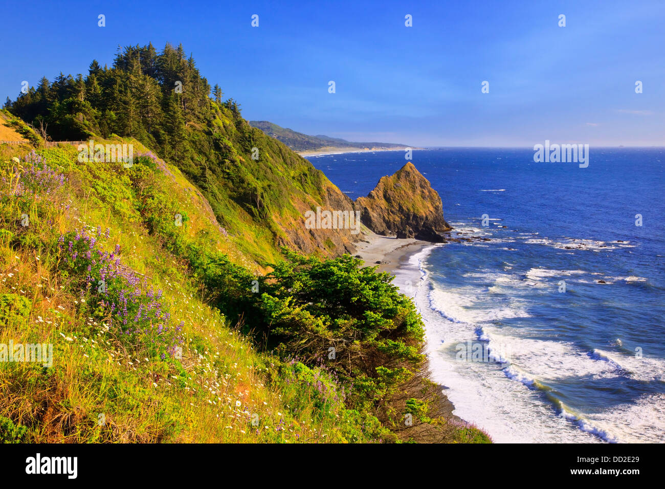 Wildflowers And Afternoon Light Add Beauty To Rock Formations At Humbug ...
