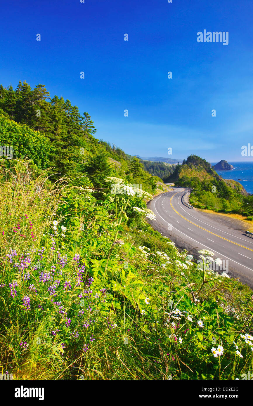 Wildflowers And Afternoon Light Add Beauty To The Highway And Rock ...