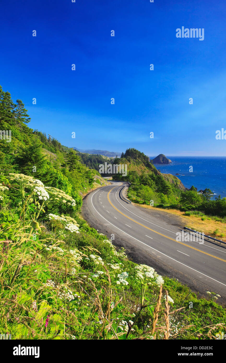 Wildflowers And Afternoon Light Add Beauty To The Highway And Rock ...