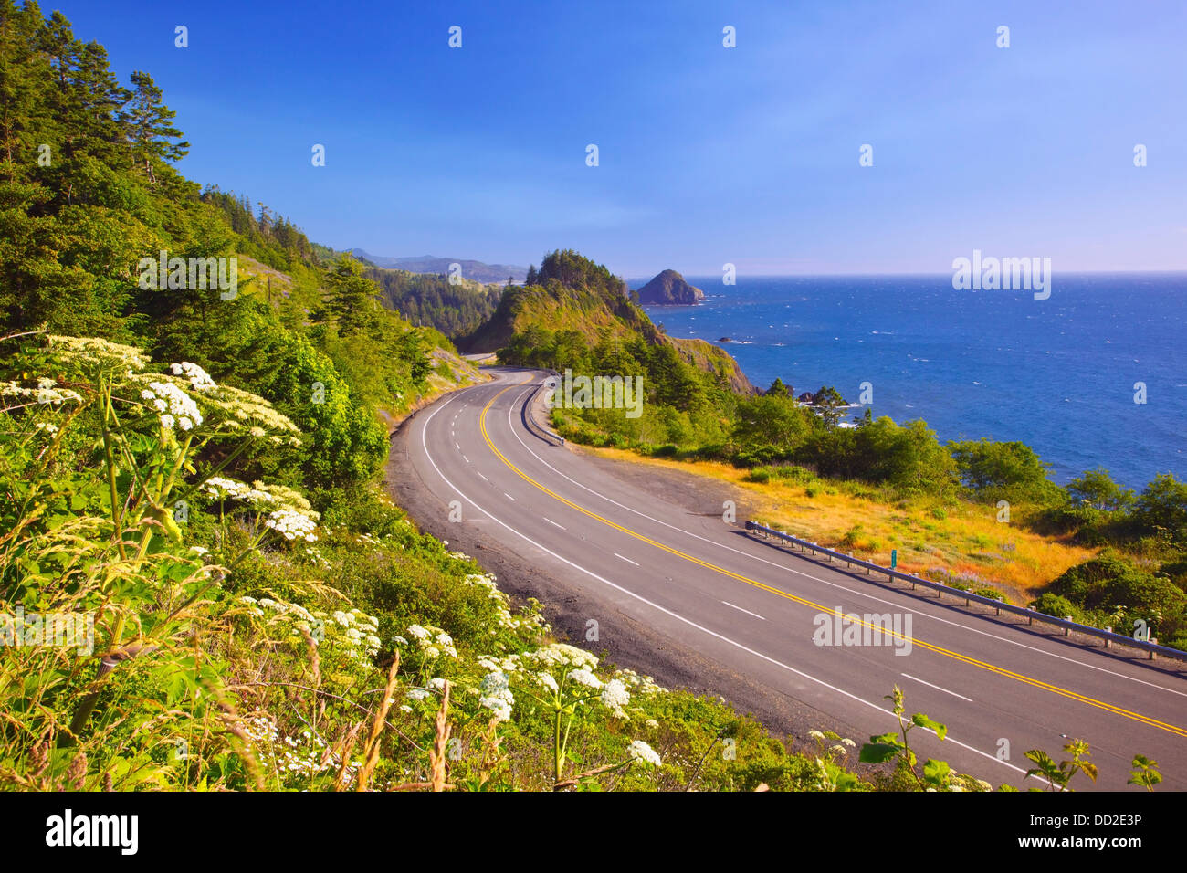 Wildflowers And Afternoon Light Add Beauty To The Highway And Rock ...