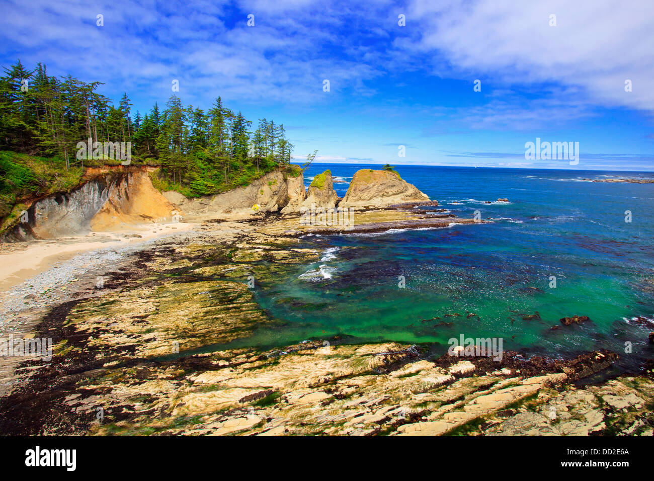 Rock Formations At Shore Acres State Park; Coos Bay, Oregon, United ...