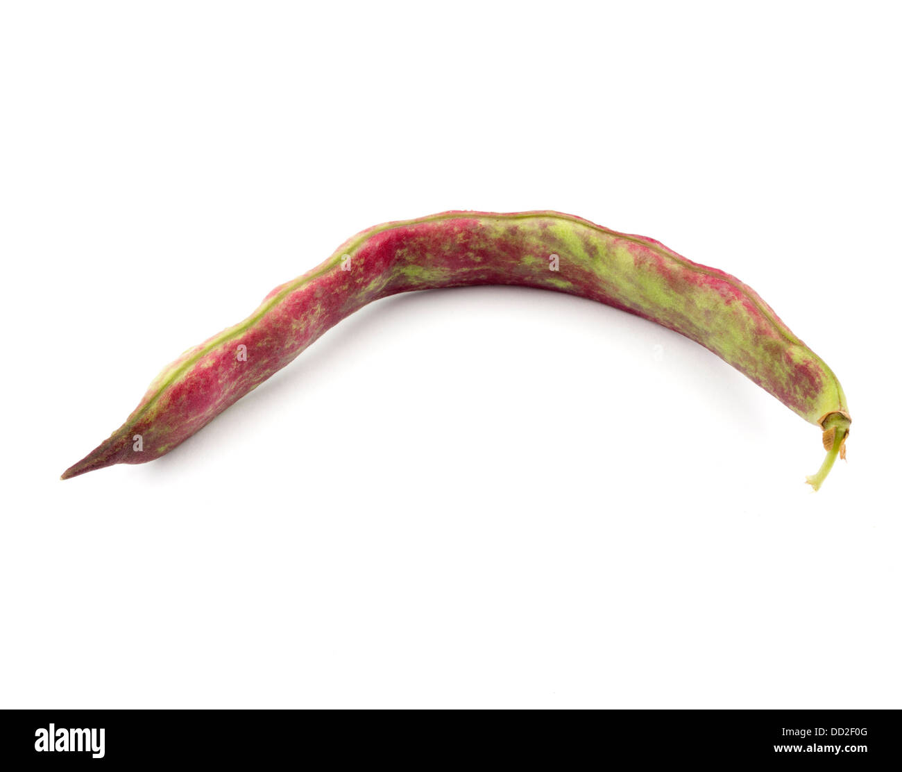 String bean alone hi-res stock photography and images - Alamy
