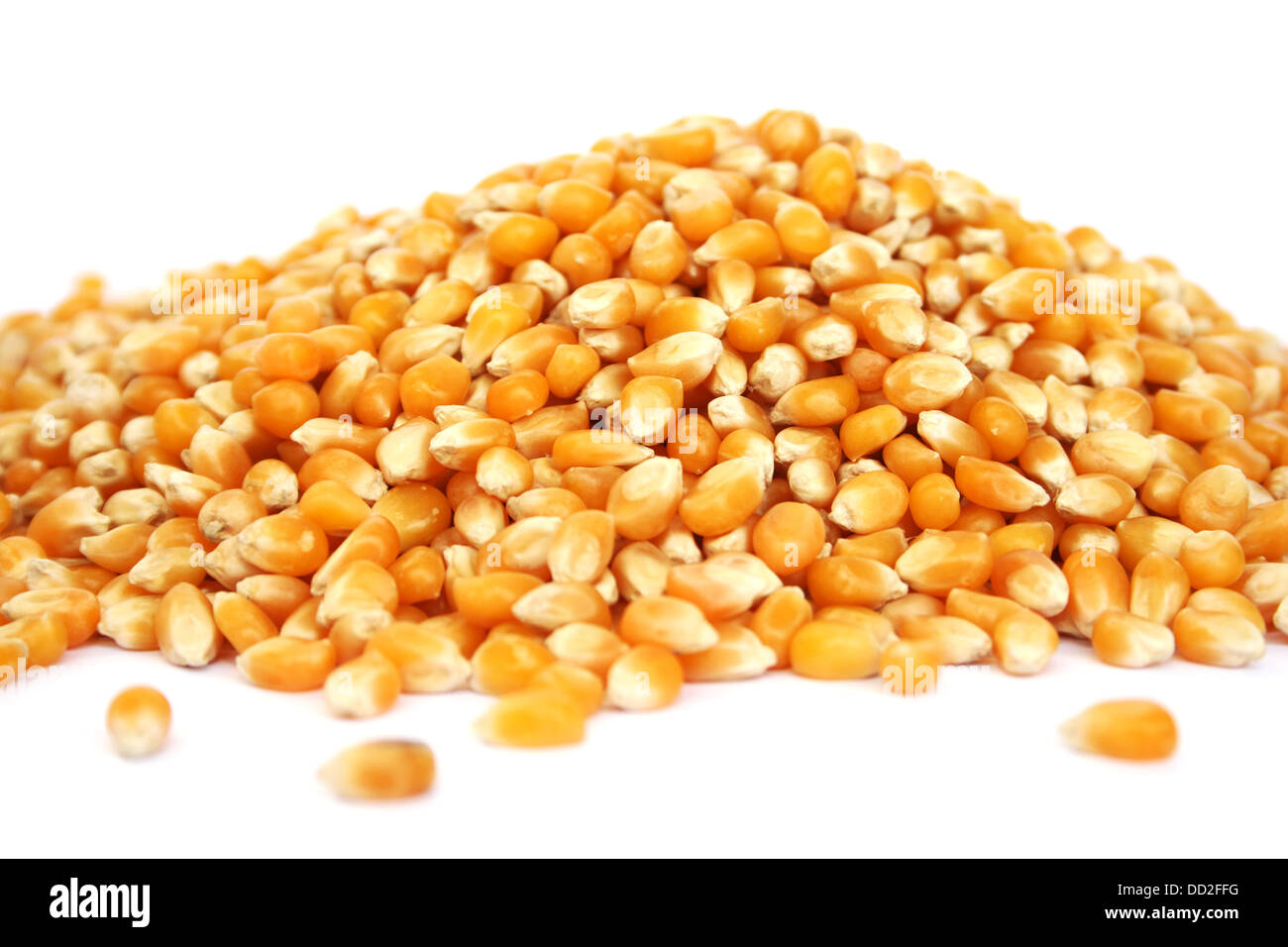 Pile of corn isolated on white background Stock Photo - Alamy