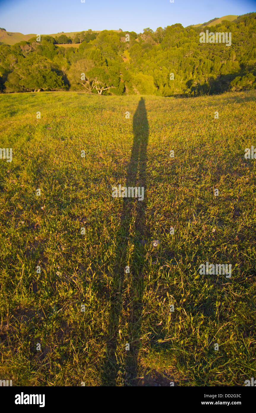 Tall shadow hi-res stock photography and images - Alamy