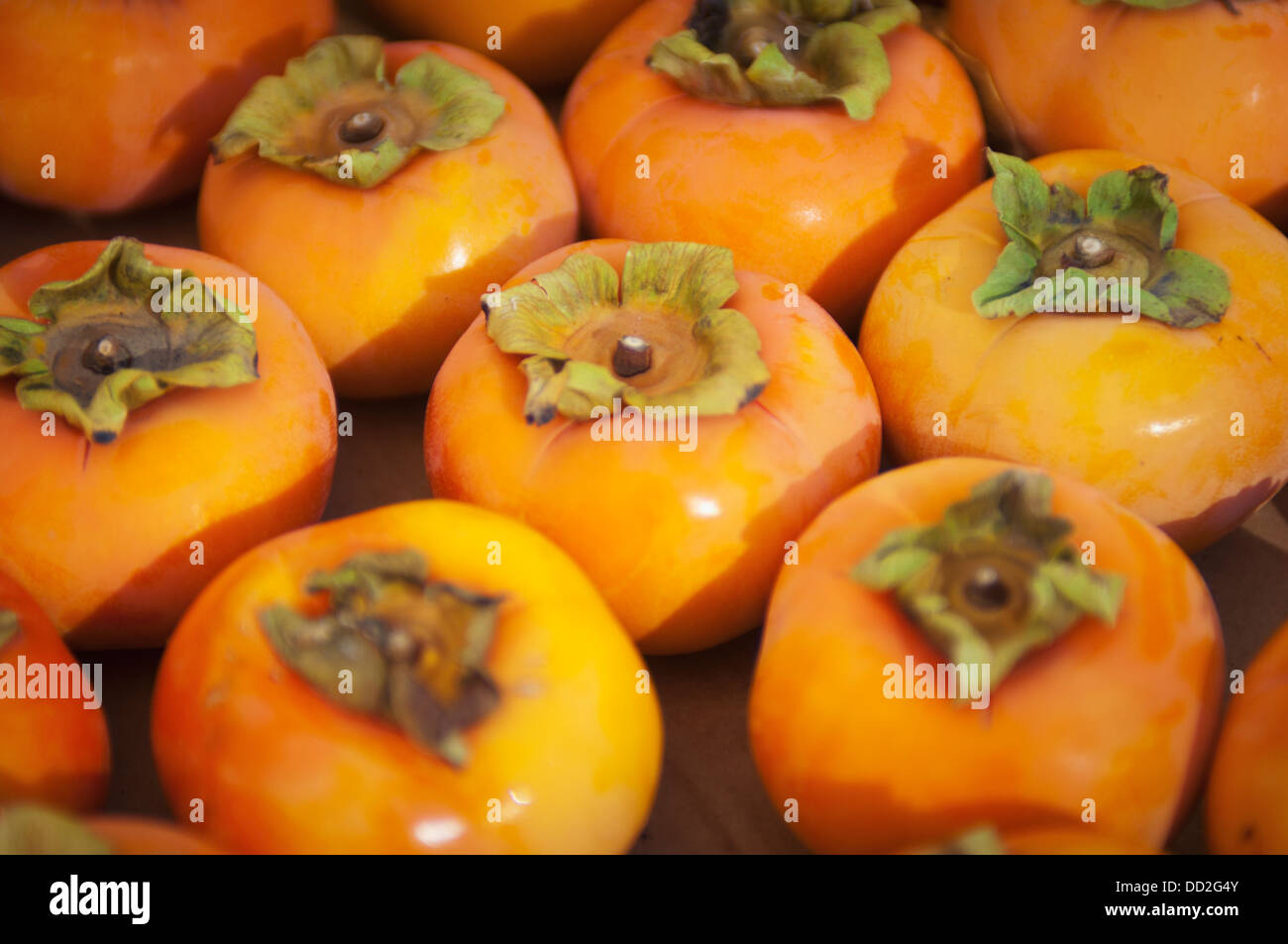 Fuyu Persimmon; Berkeley, California, United States of America Stock ...