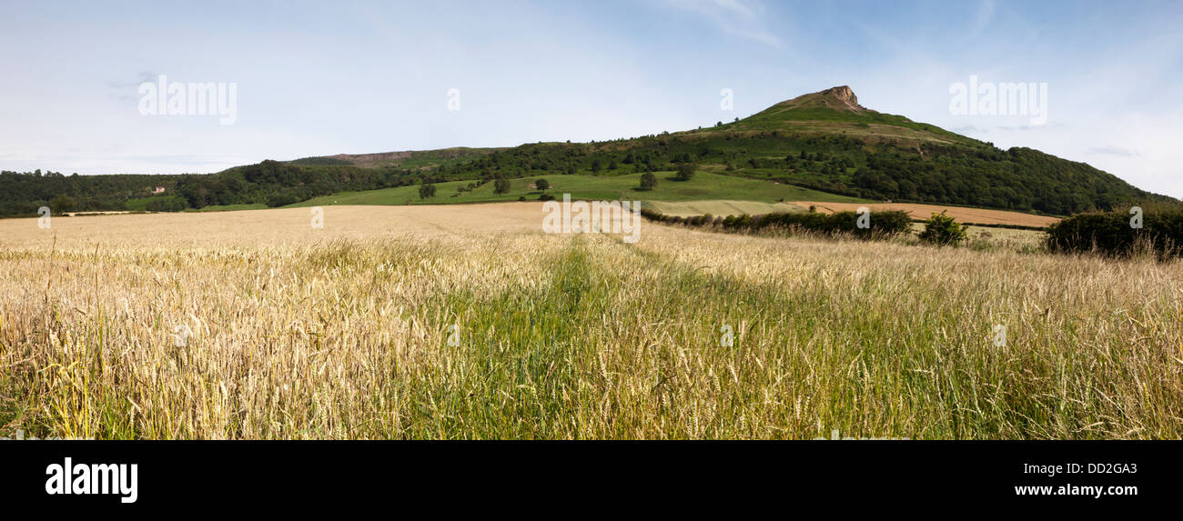 A Grassy Field Below A Hill With A Peak; Roseberry Topping, North ...