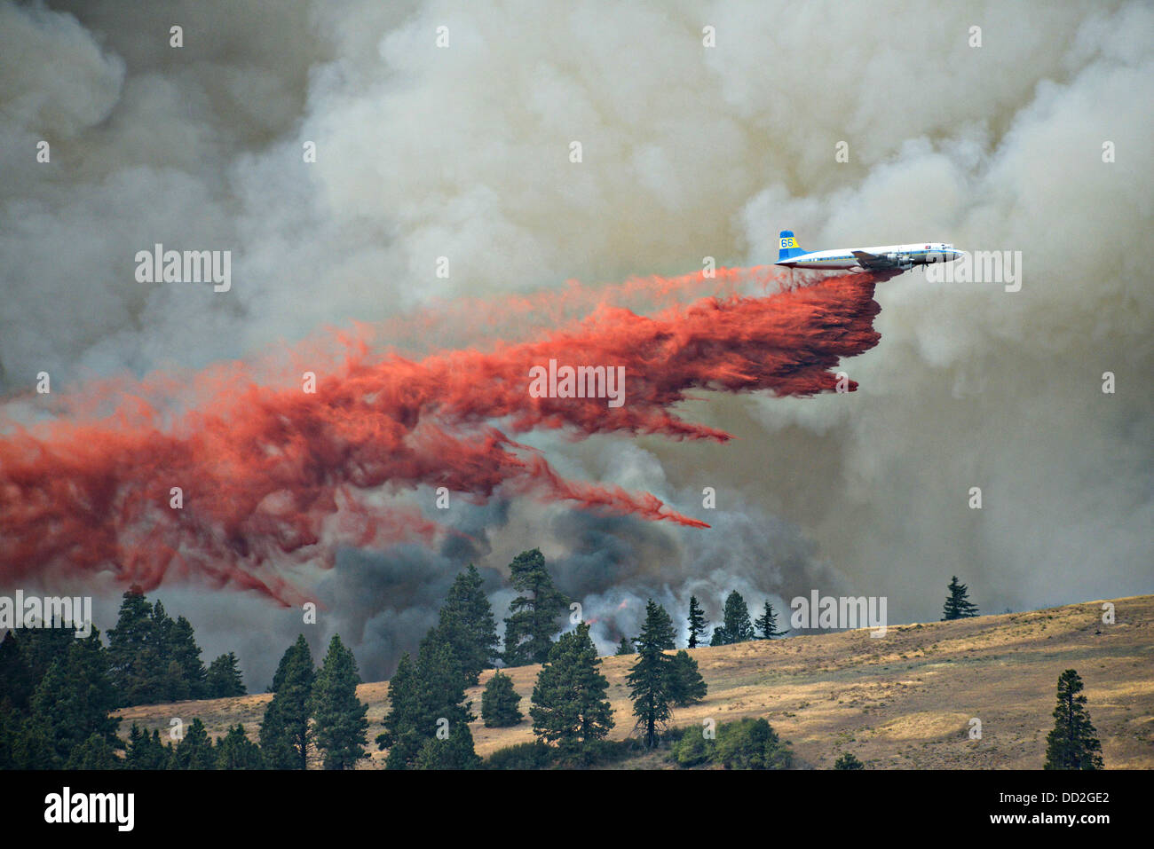 Aerial view of a firefighting tanker aircraft releasing fire retardant ...