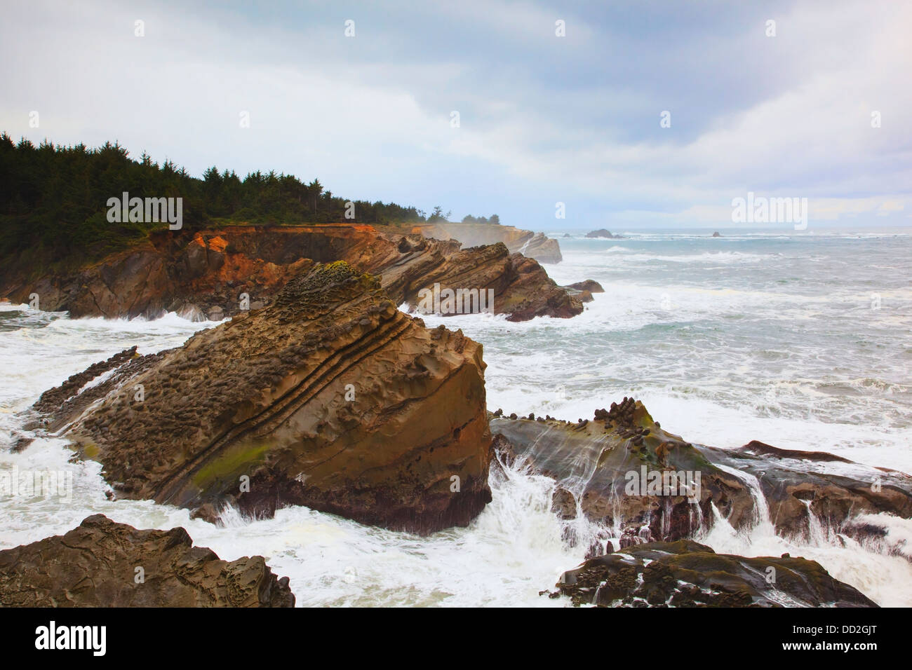 Shore acres state park storm hi-res stock photography and images - Alamy
