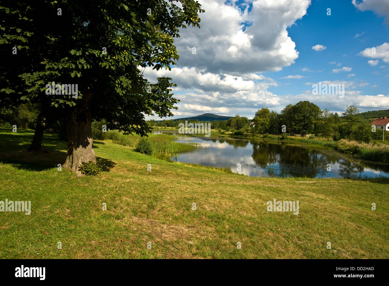 Żeromszczyzna, a museum called The Glass House in central Poland ...
