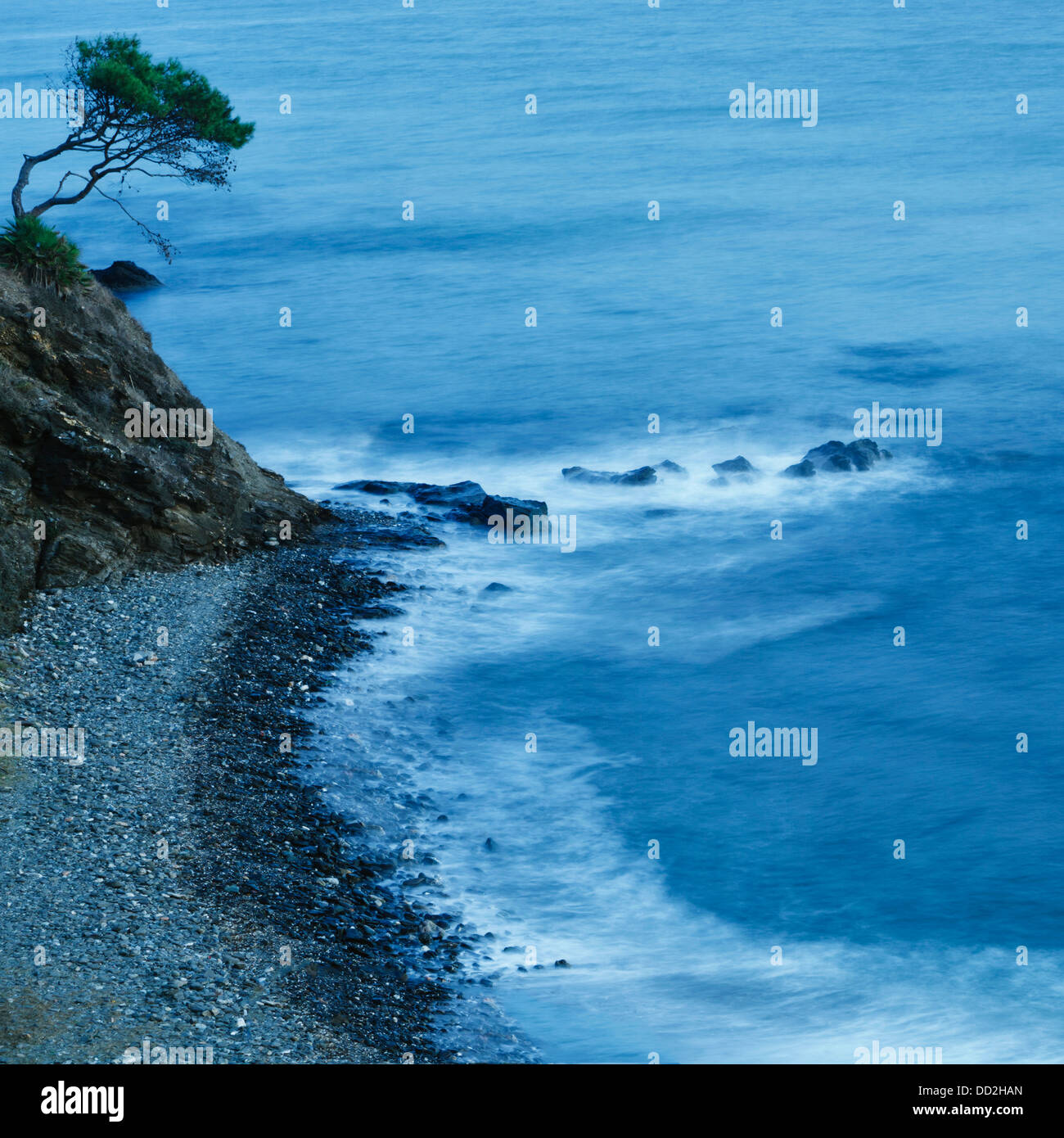 Sideways growing tree hi-res stock photography and images - Alamy