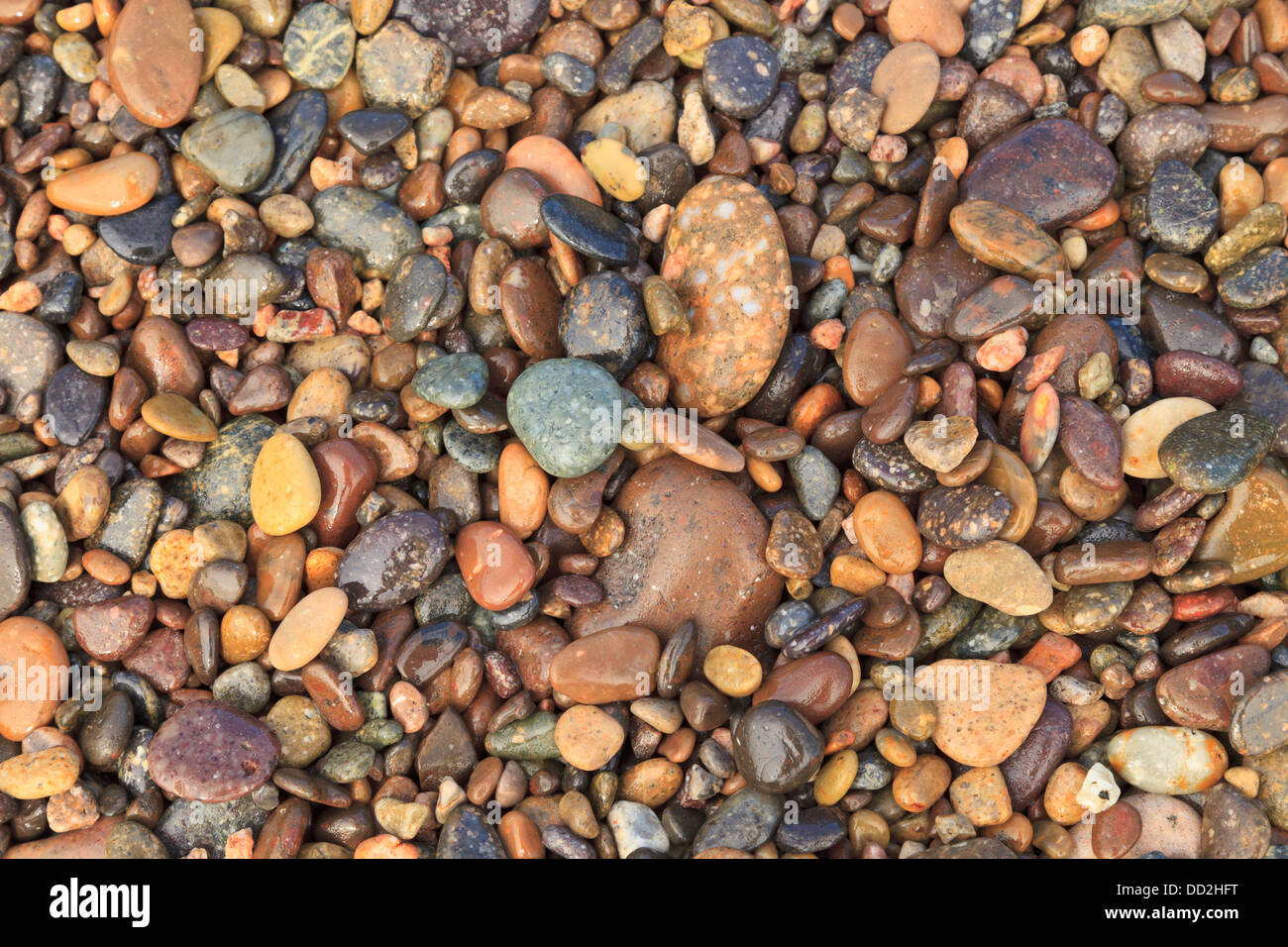 Colourful Rocks On The Shore At Cabo Pulmo; Baja California Sur, Mexico ...