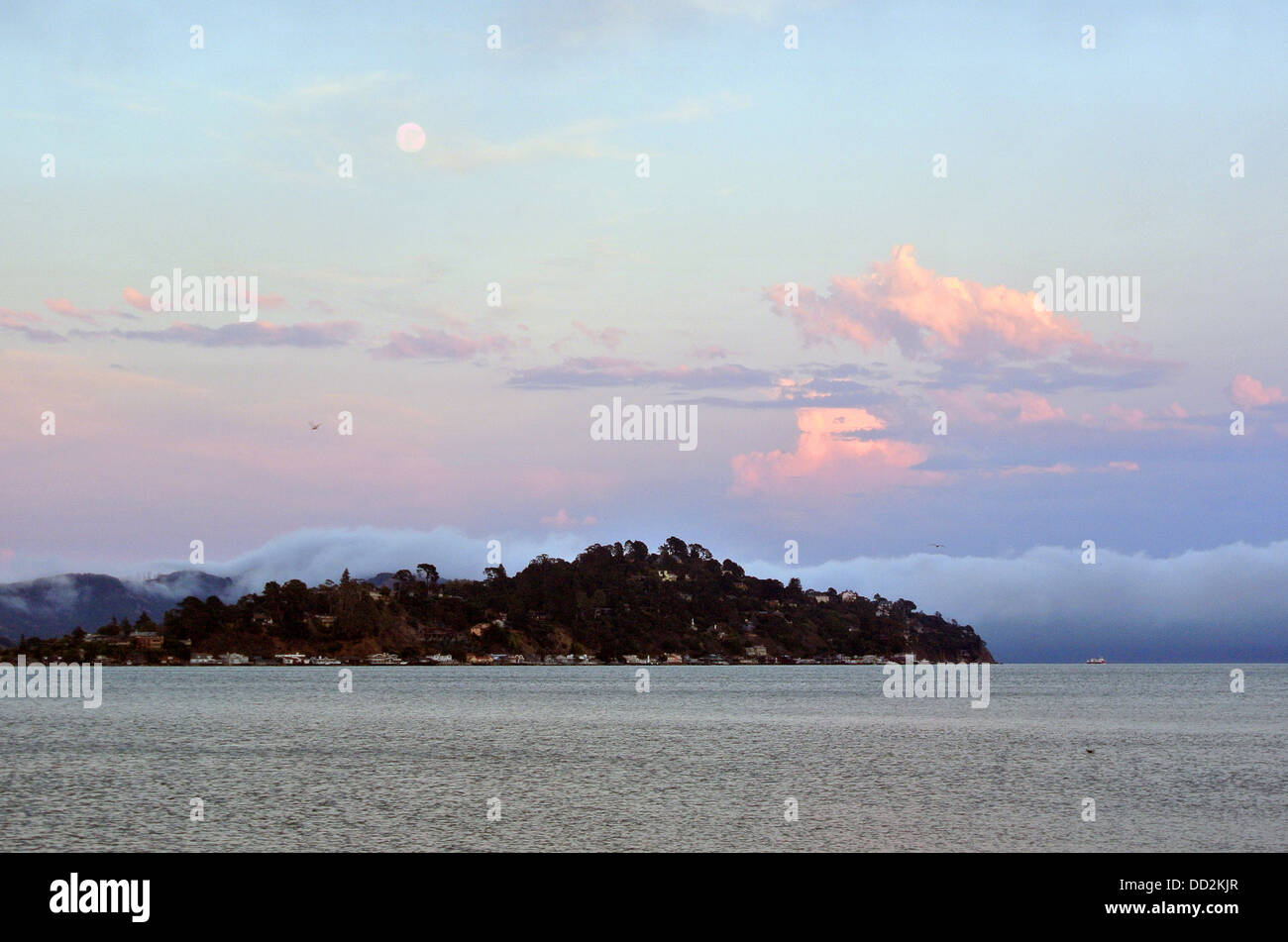 fog rolls in on the Tiburon Peninsula in Marin County Stock Photo - Alamy