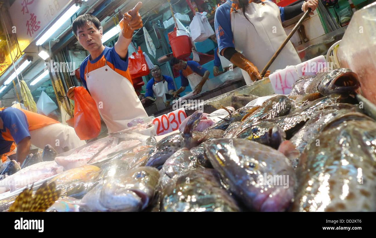 A fish market in Hong Kong Stock Photo - Alamy