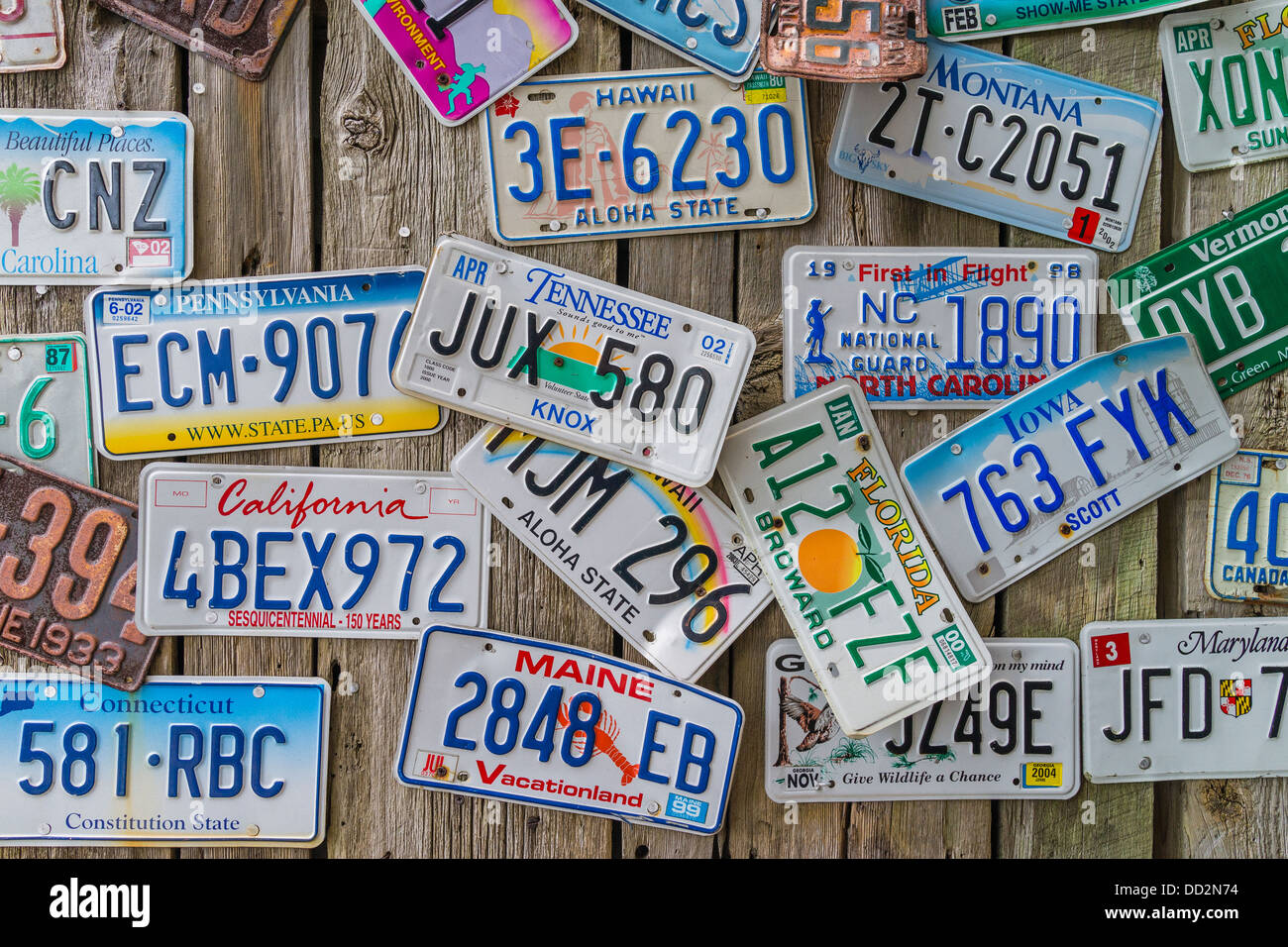 A Display Of Various License Plates From Different States In The United a-display-of-various-license-plates-from-different-states-in-the-united