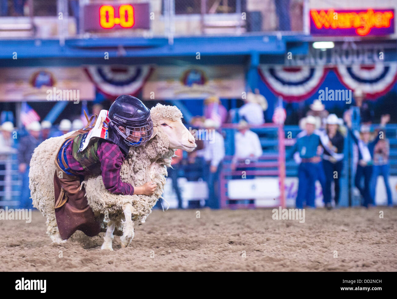 Boy at rodeo hi-res stock photography and images - Alamy