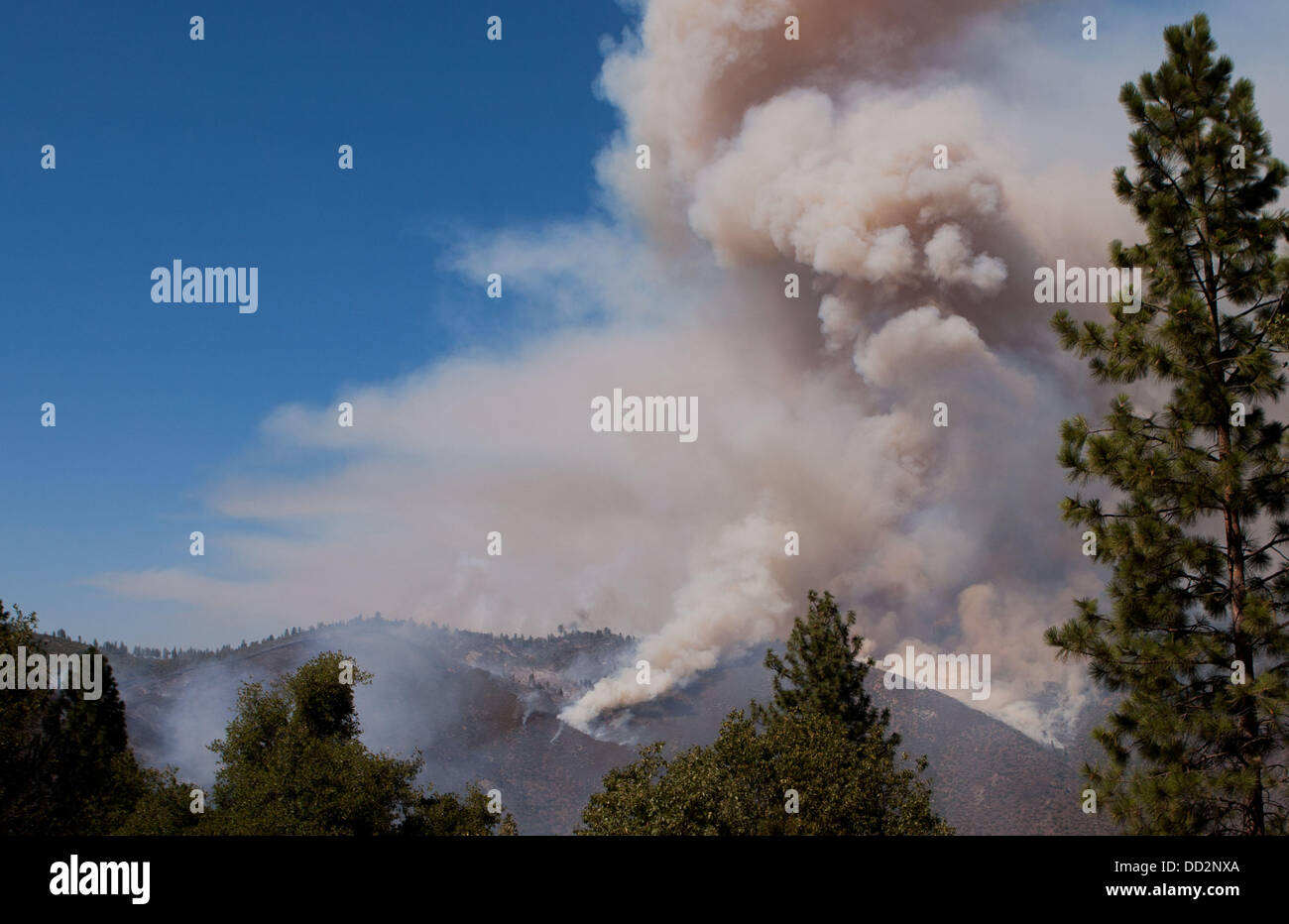 Us forest service cabin hi-res stock photography and images - Alamy