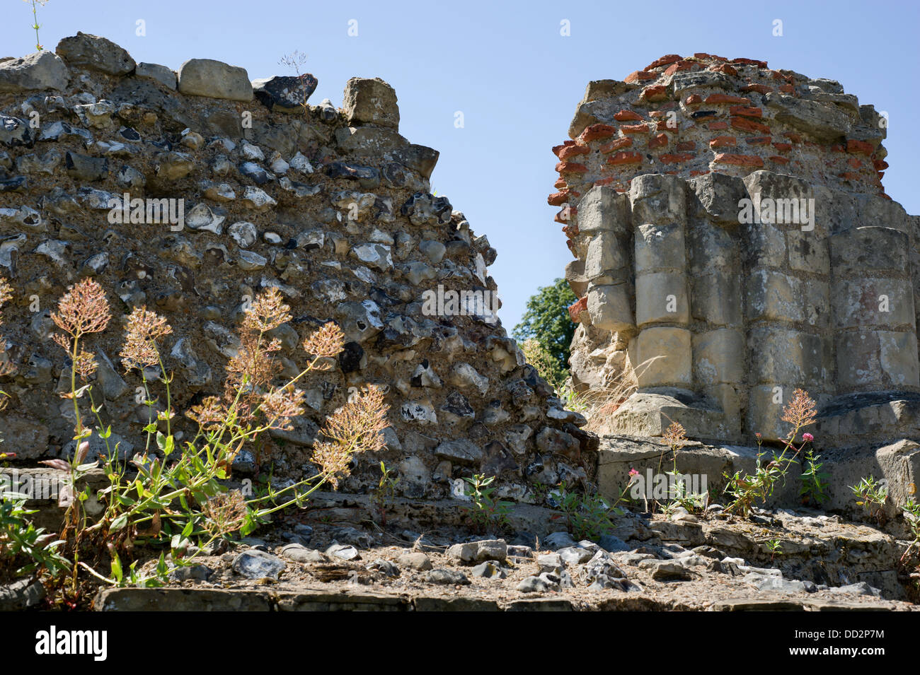 Ruins of St. Augustine's Abbey in Canterbury Stock Photo - Alamy
